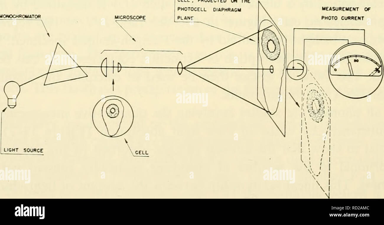 Micro spectrophotometry hi-res stock photography and images - Alamy