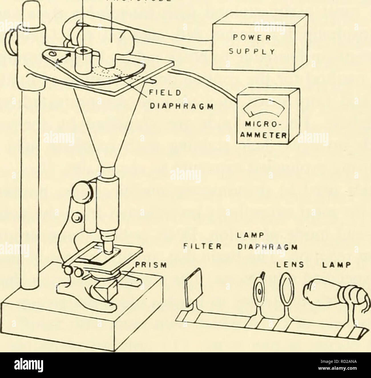 . Cytology. Cytology. MAGNIFIER PHOTOTUBE. Figure 11-6. Diagram Showing ...