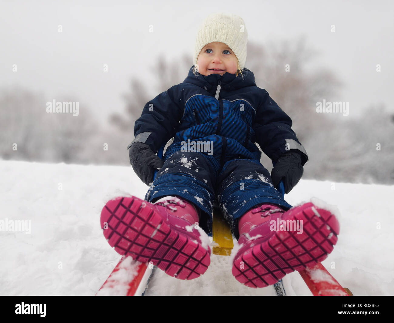 Little girl enjoying a sleigh ride. Child sledding. Toddler kid riding ...
