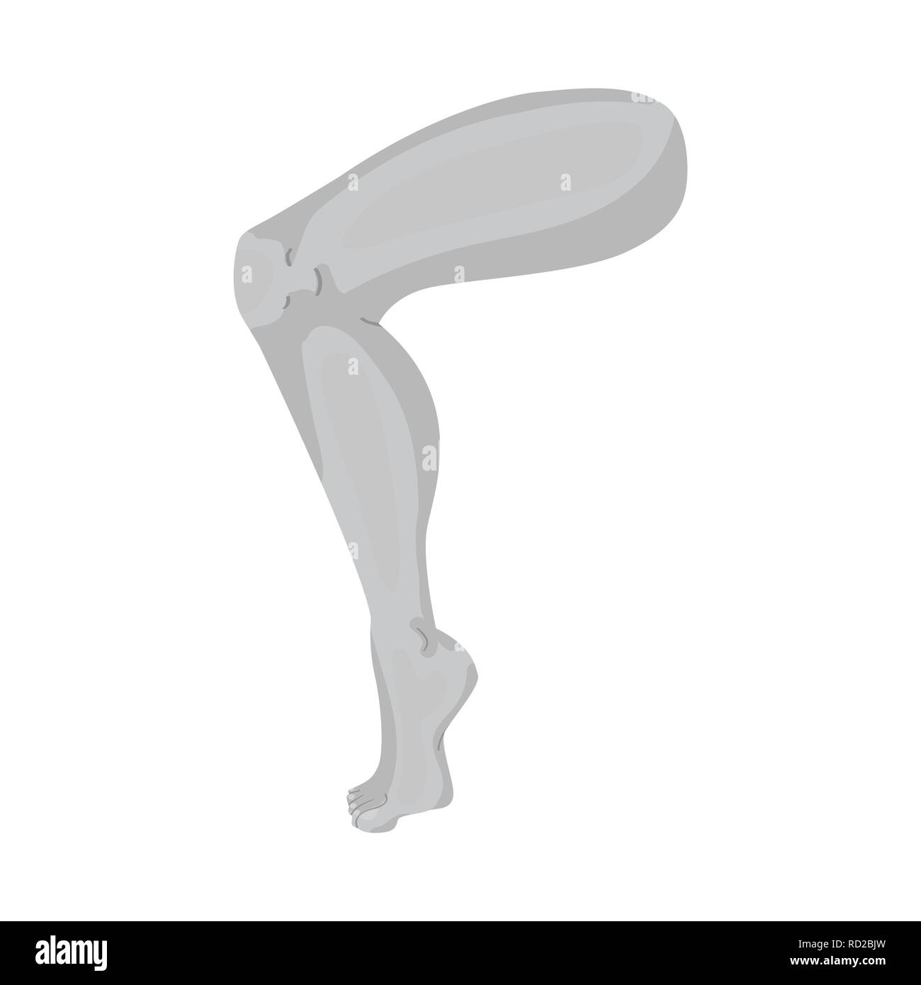 Vector illustration of body and part sign. Set of body and anatomy ...