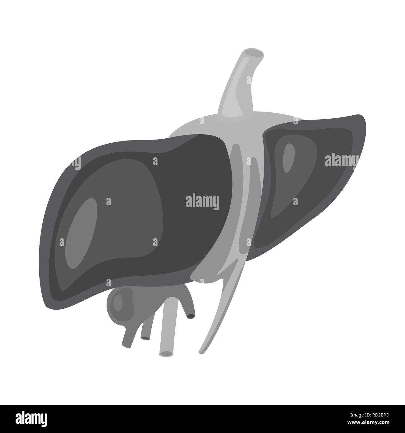 Vector illustration of internal and medical symbol. Collection of ...