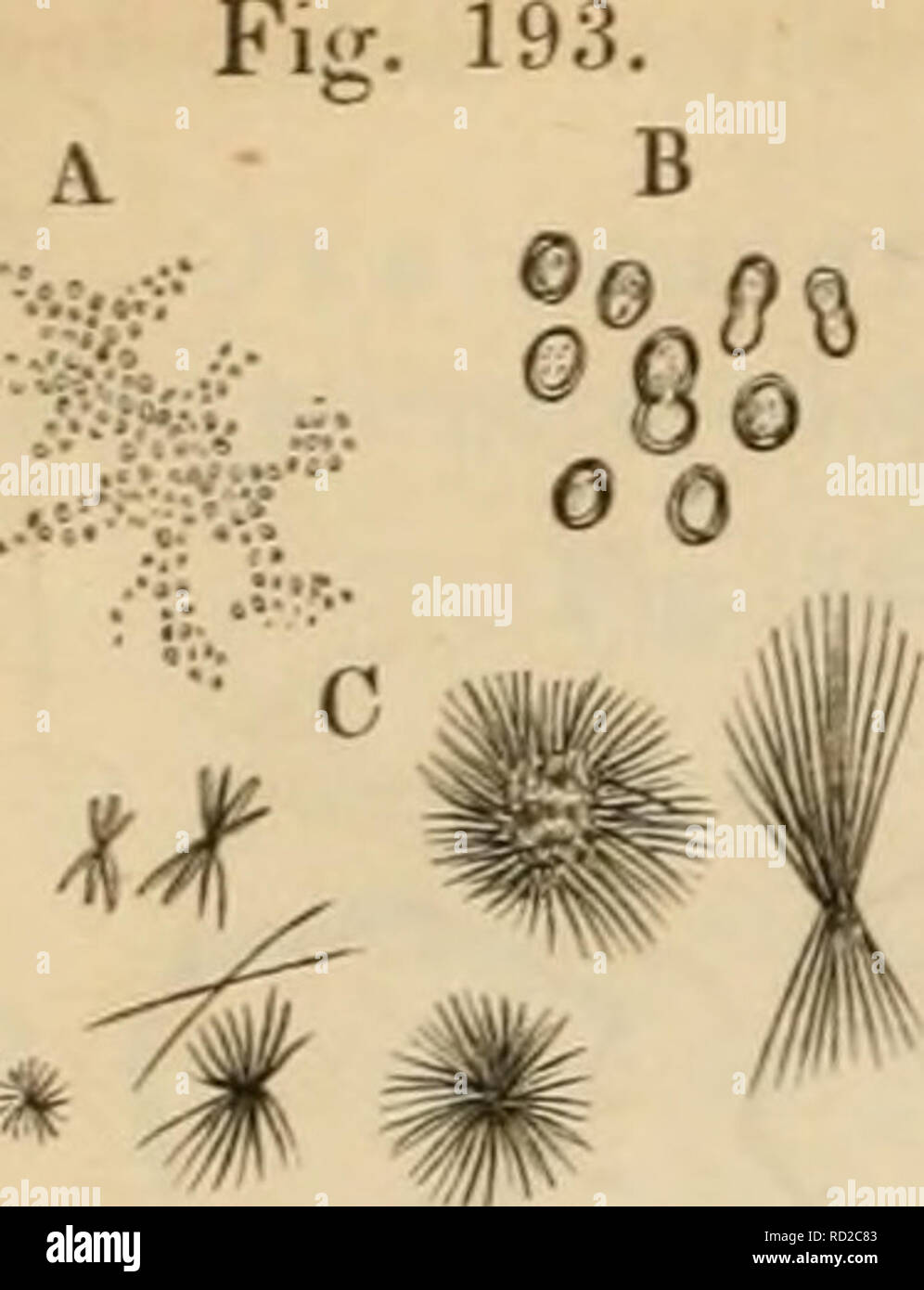 Benzoesäure hi-res stock photography and images - Alamy