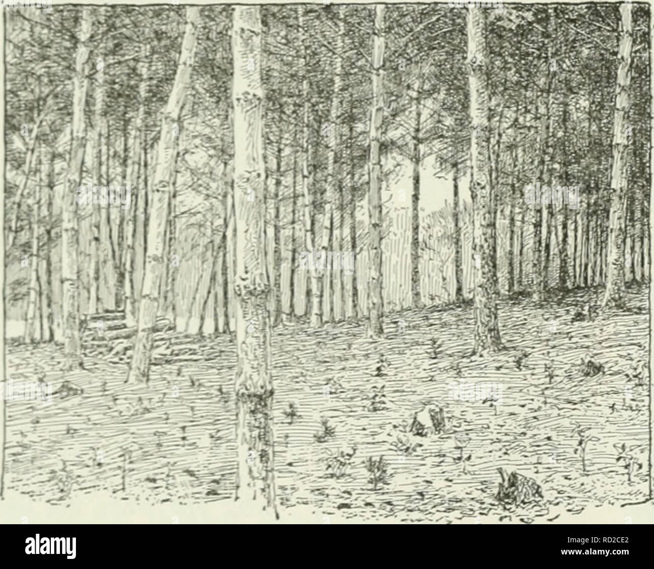 Sone made hi-res stock photography and images - Alamy