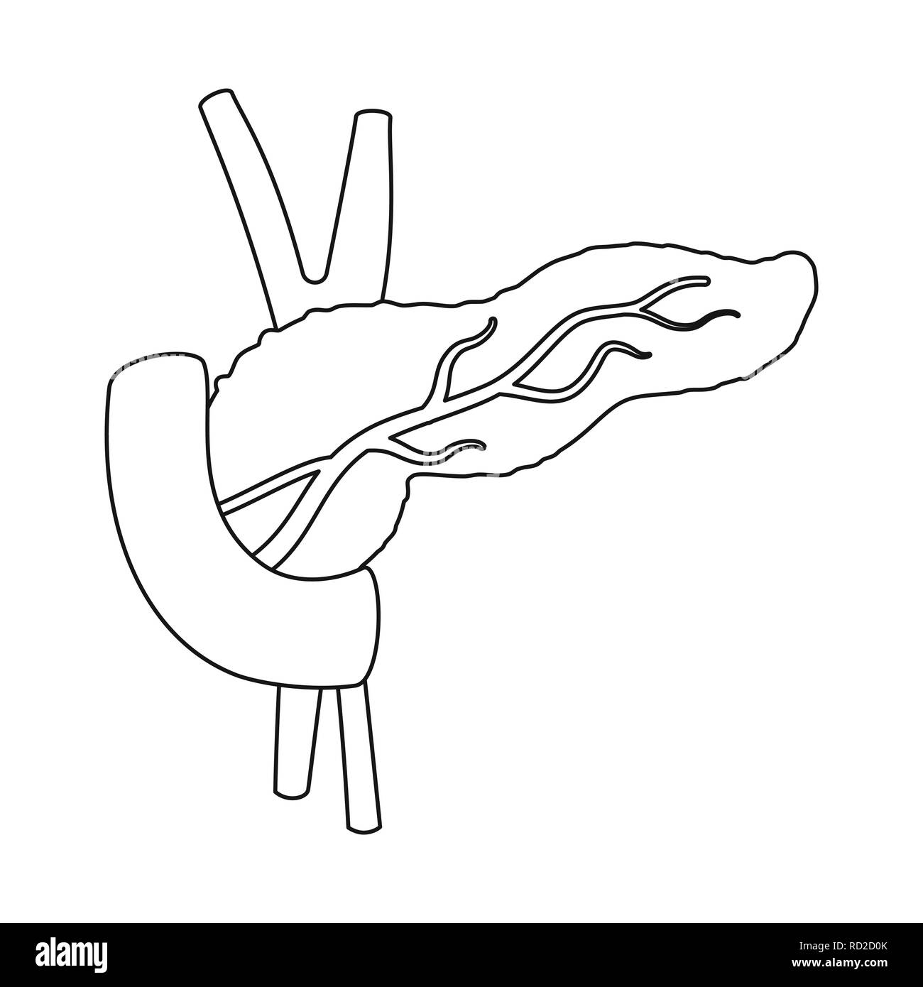 Isolated object of anatomy and organ symbol. Set of anatomy and medical ...