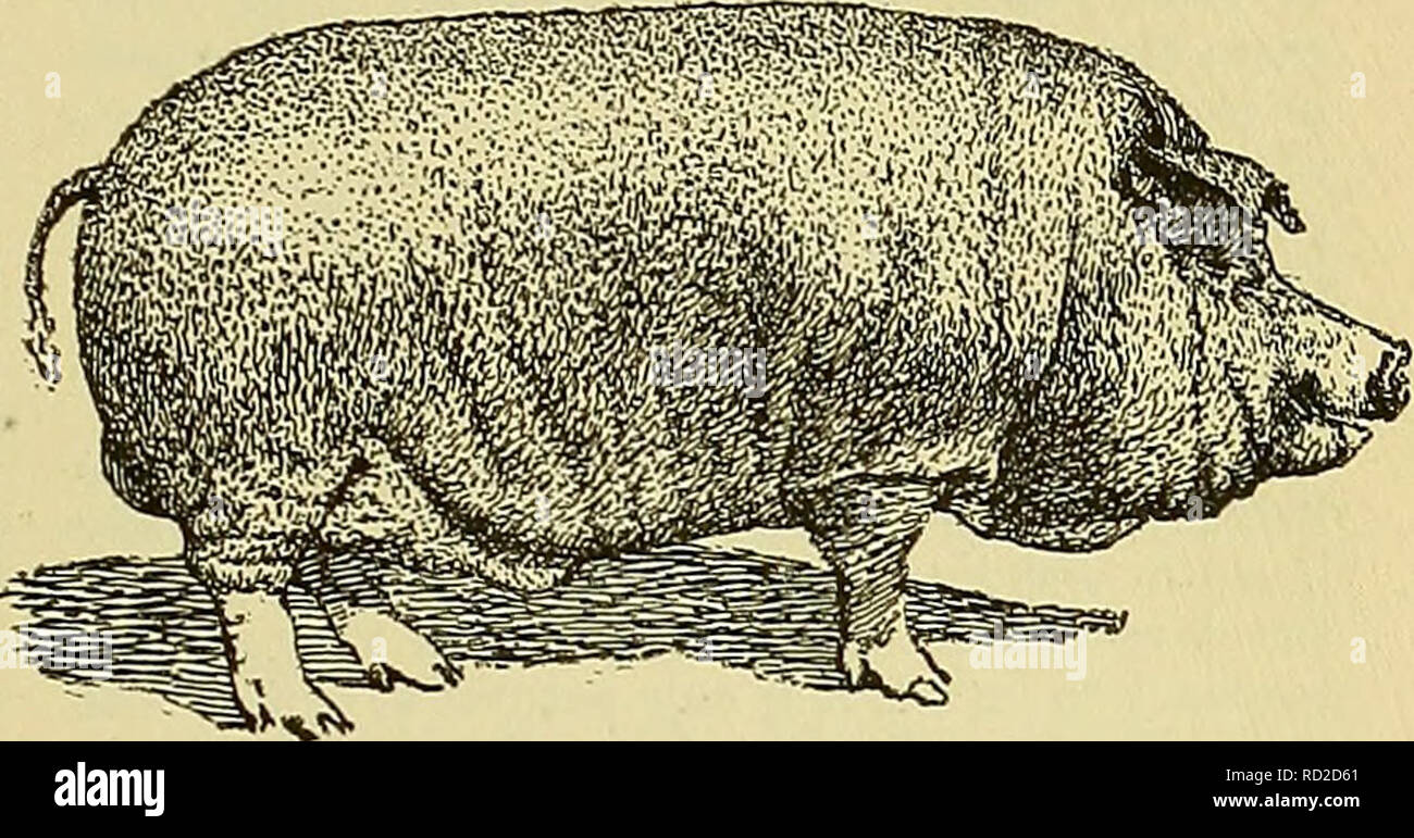 Byfield village hi-res stock photography and images - Alamy