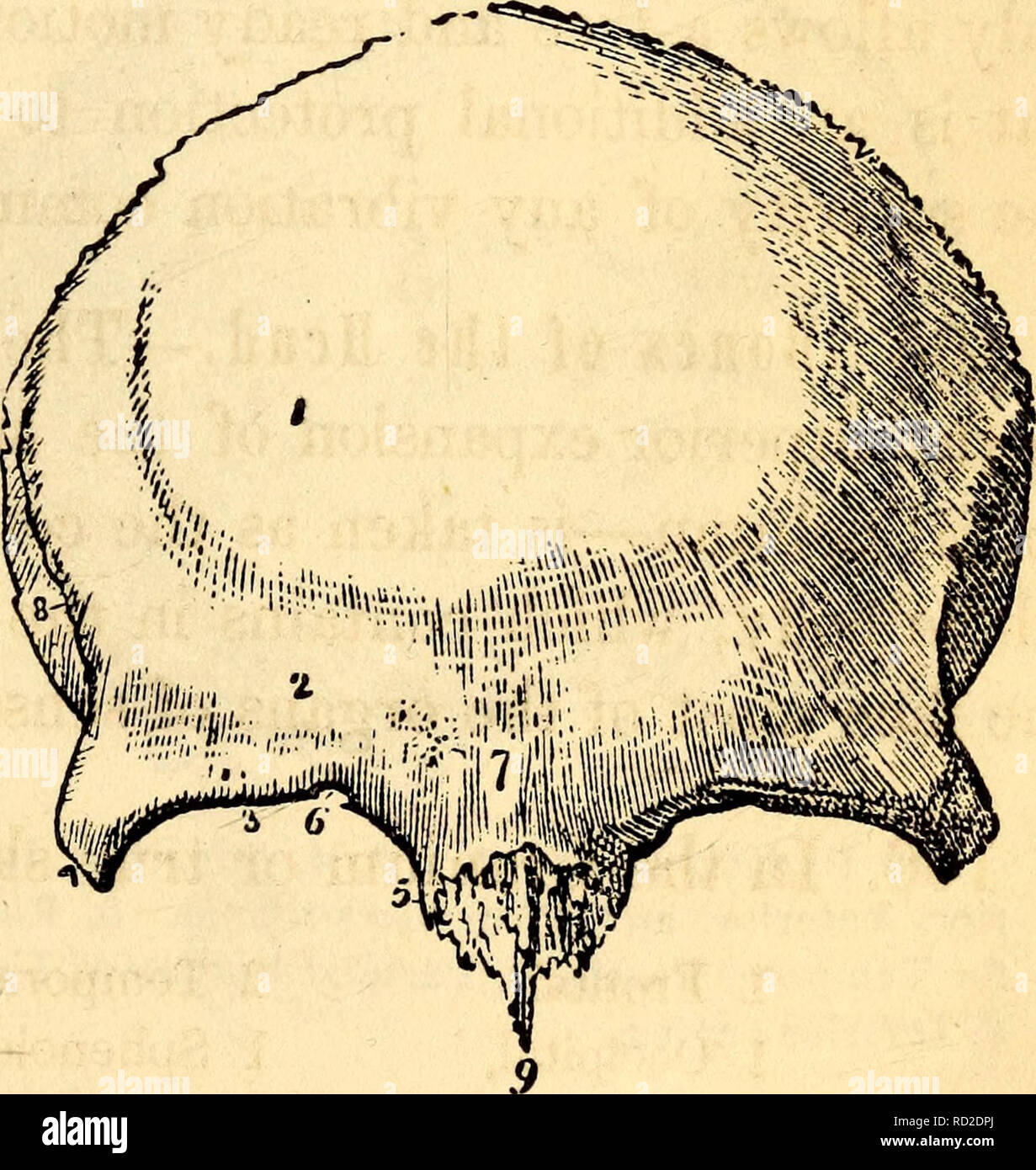 W 107 9 4 hi-res stock photography and images - Alamy