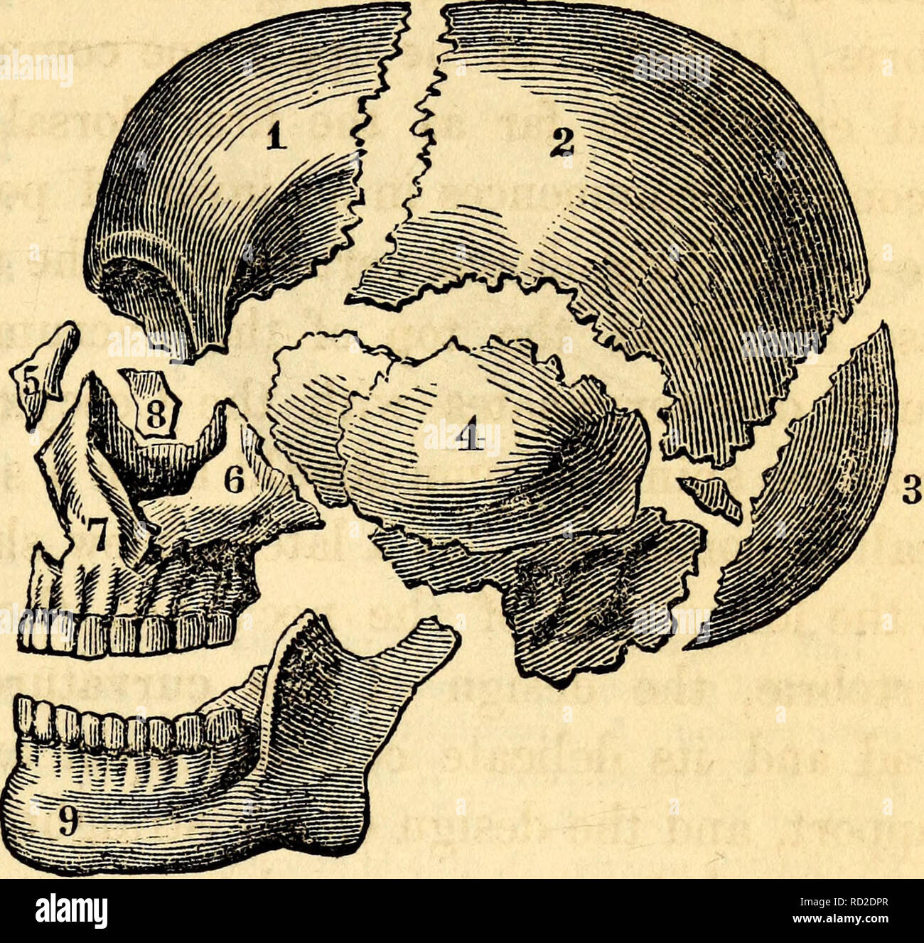 . Elementary anatomy and physiology : for colleges, academies, and ...