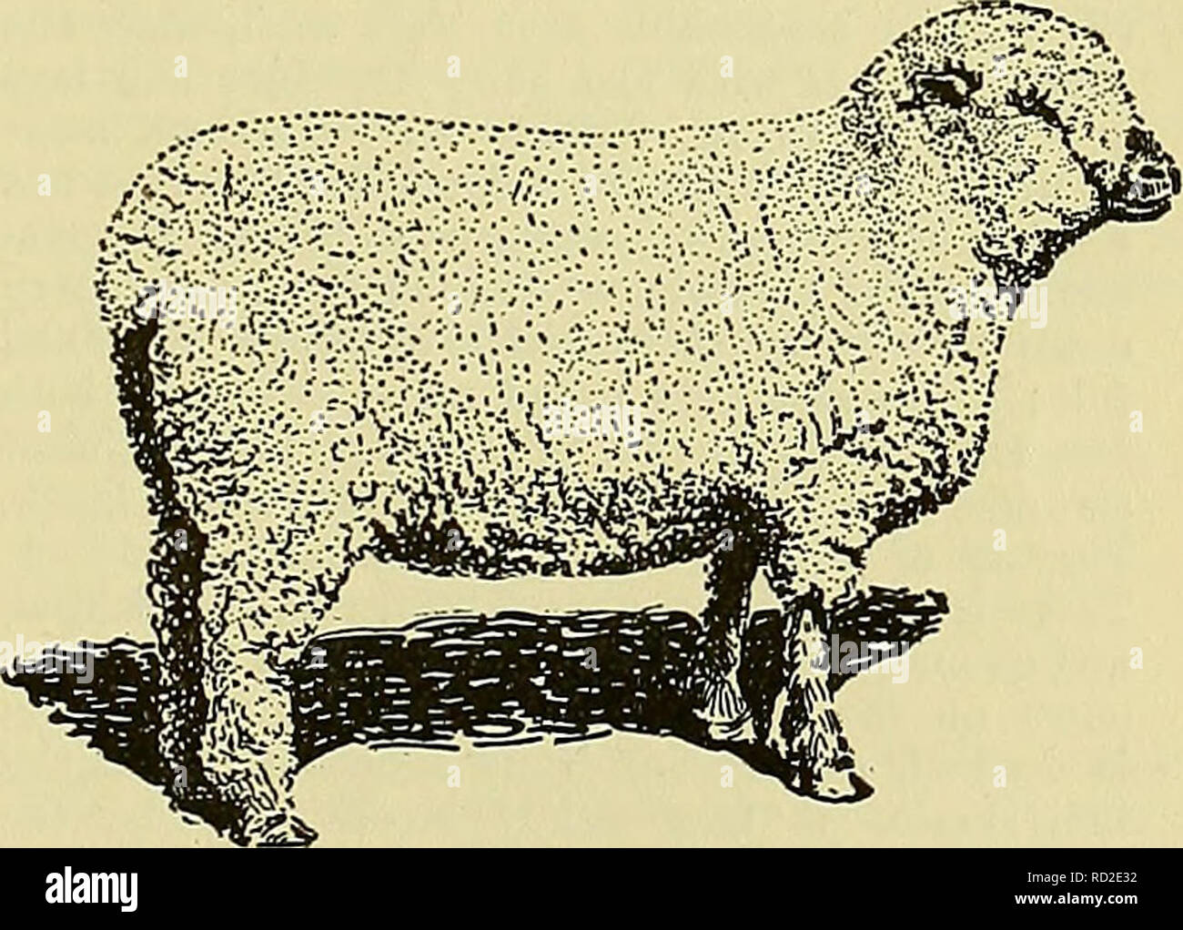 . Cyclopedia of farm animals. Domestic animals; Animal products. Fig ...