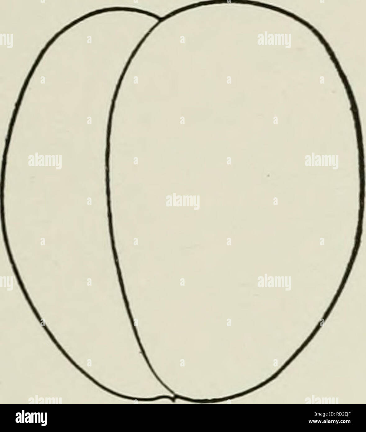 Clingi hi-res stock photography and images - Alamy