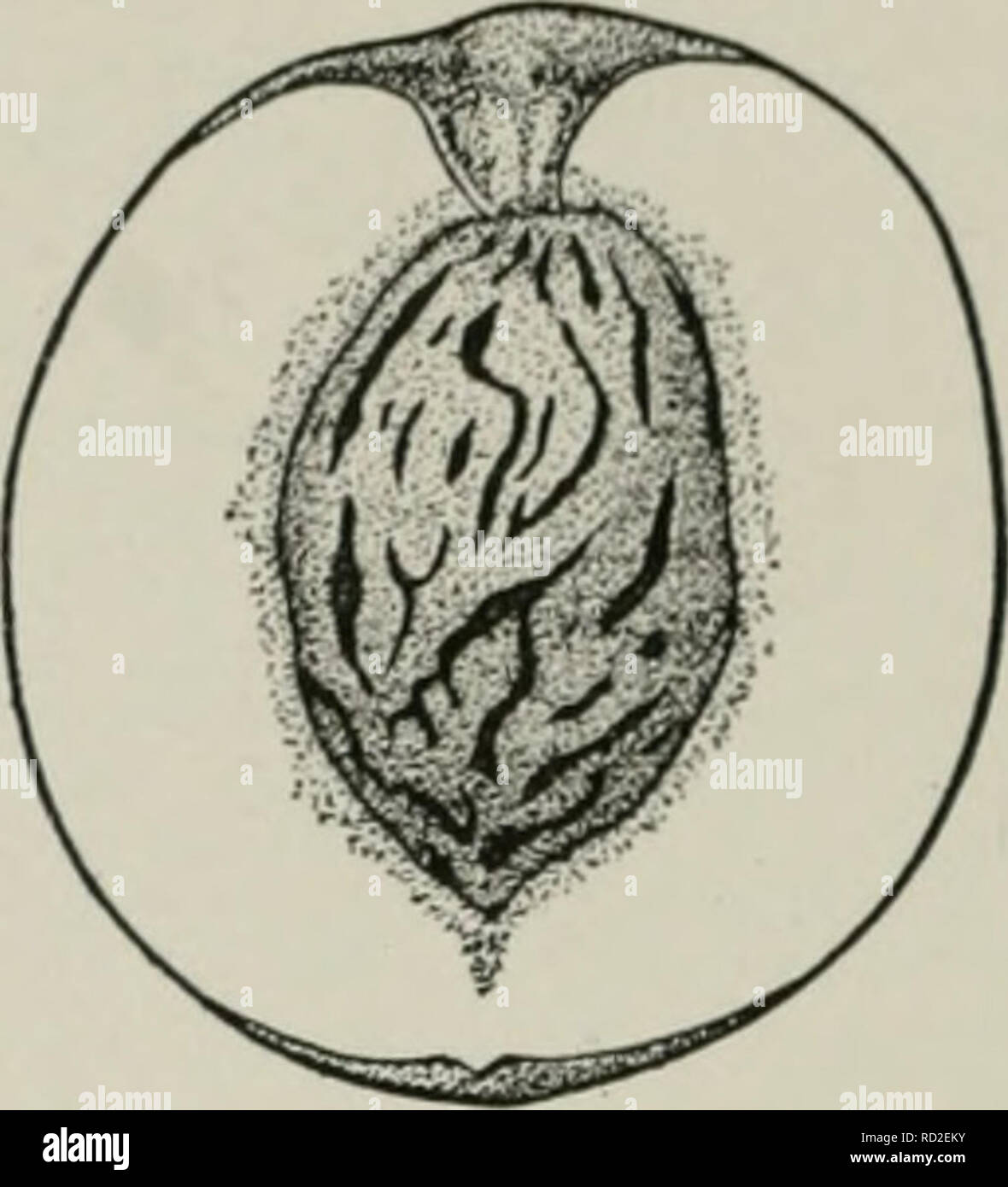 George Duller High Resolution Stock Photography and Images - Alamy