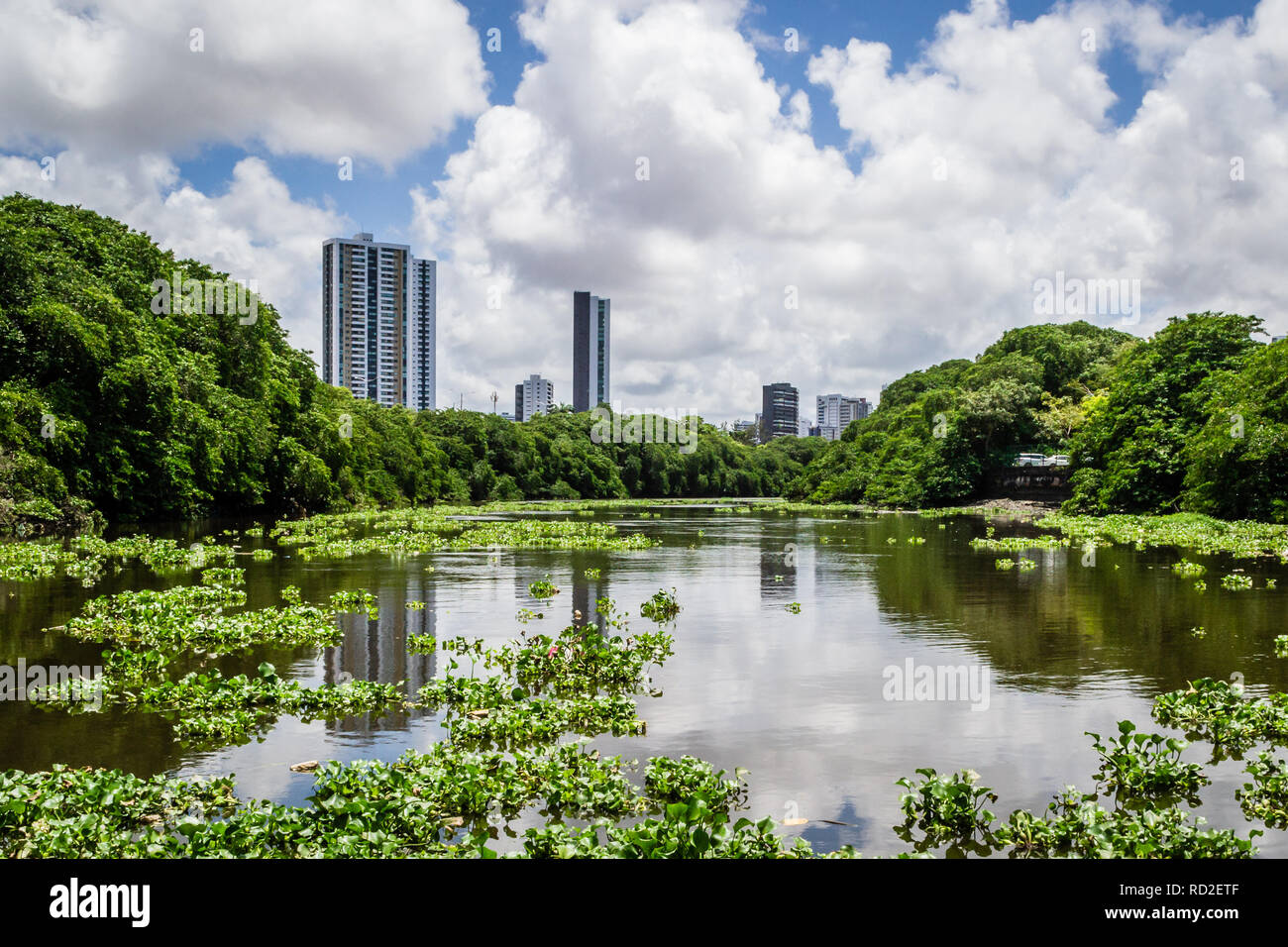 Recife culture hi-res stock photography and images - Alamy