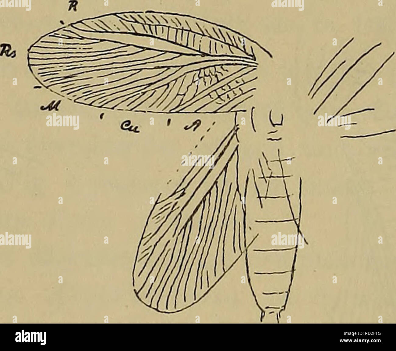 . Denkschriften - Österreichische Akademie der Wissenschaften. 560 A ...
