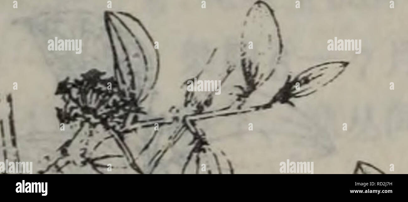 1293 ac hi-res stock photography and images - Alamy