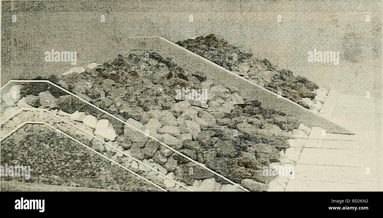 . Damage prog[r]ession on rubble-mound breakwaters. Rubble mound ...