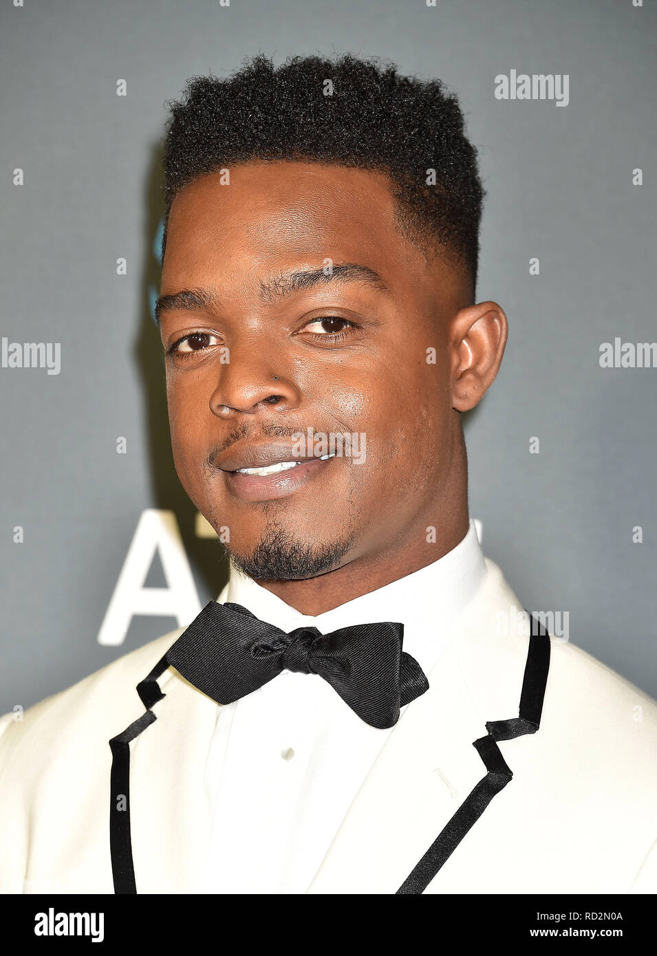 SANTA MONICA, CA - JANUARY 13: Stephan James arrives at the The 24th ...