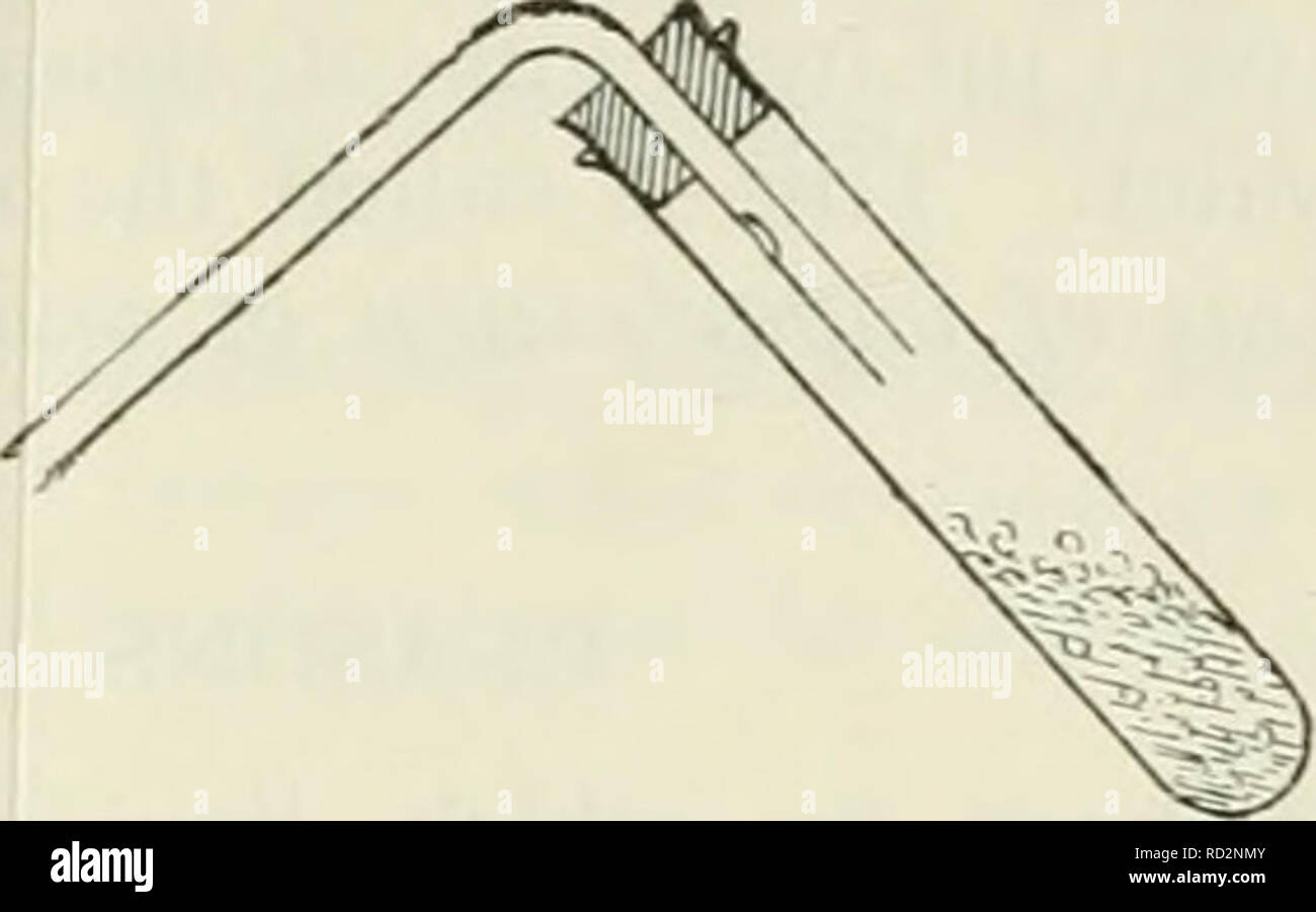 . Elementary physics and chemistry: second stage. Science. CONVERSION ...