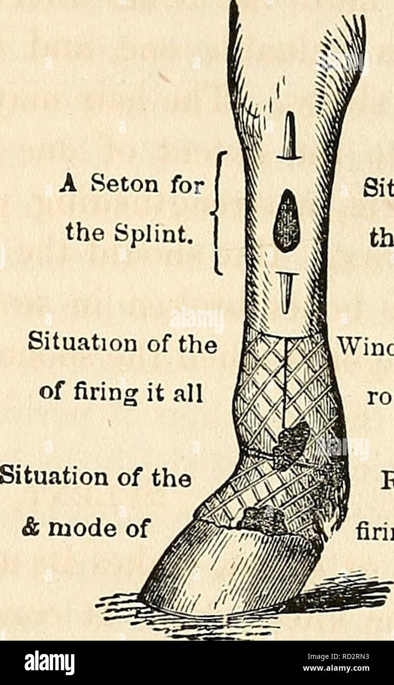 Splint images hi-res stock photography and images - Alamy