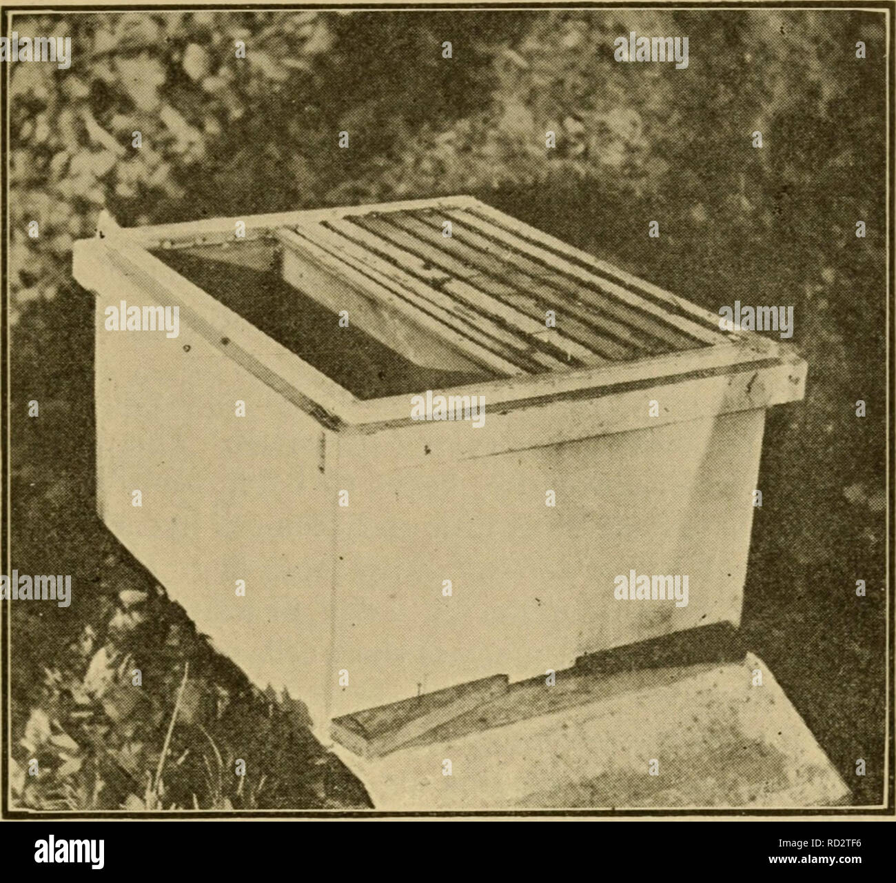 . Dadant system of beekeeping. Bees. DADANT SYSTEM OF BEEKEEPING 61 ...