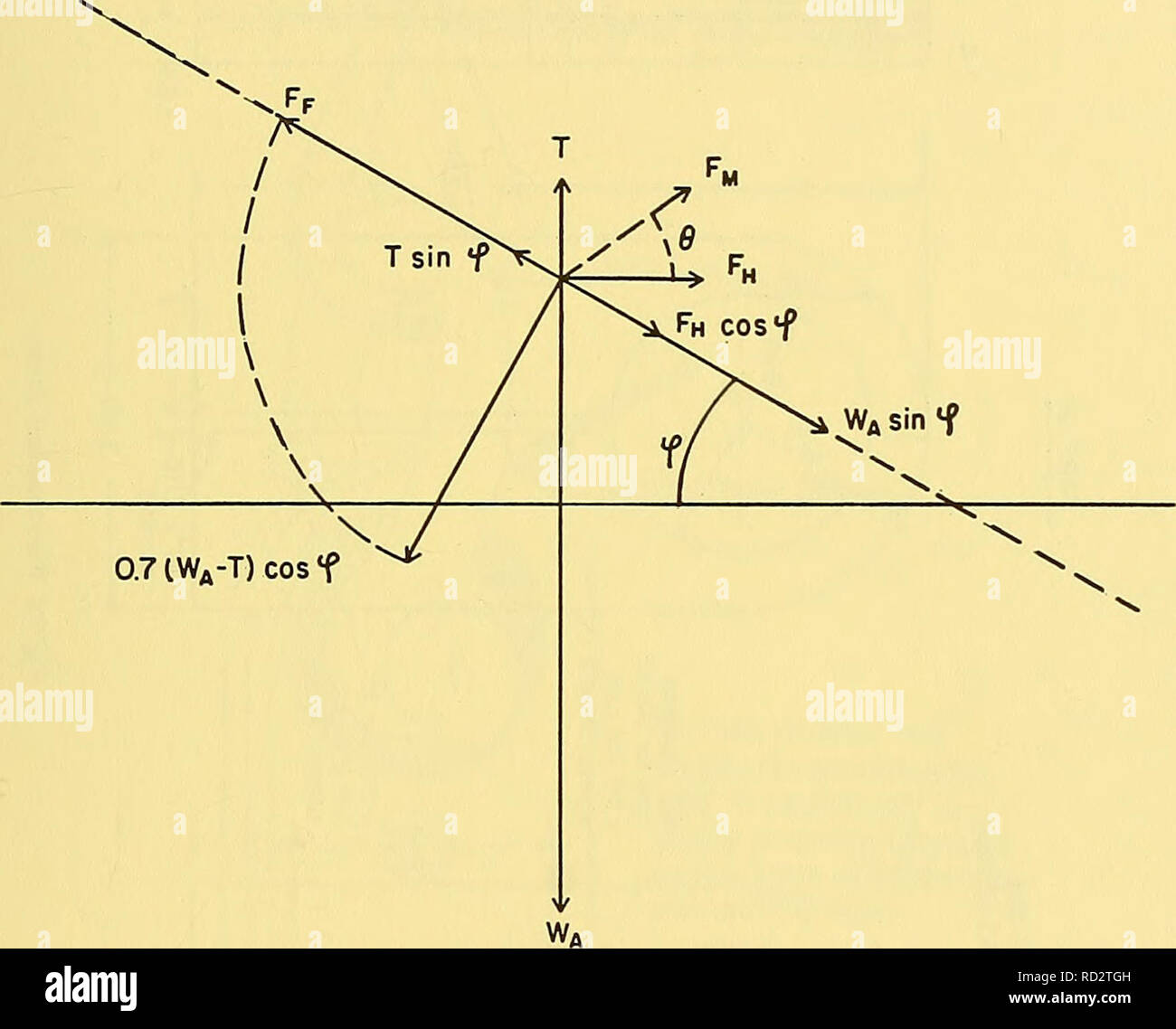 Nylon rope with thimble hi-res stock photography and images - Alamy
