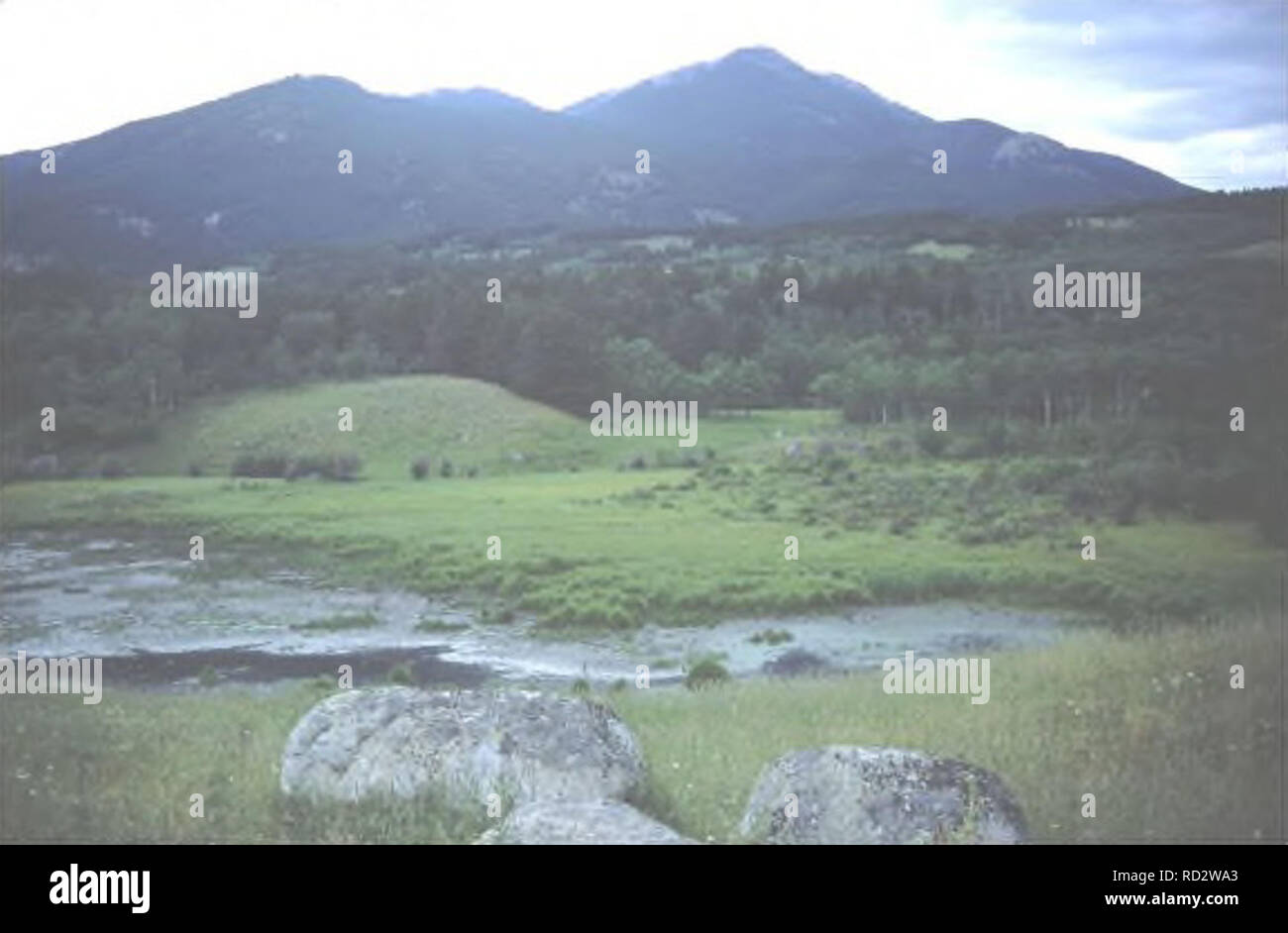 Yellowstone river, clark's fork hi-res stock photography and images - Alamy