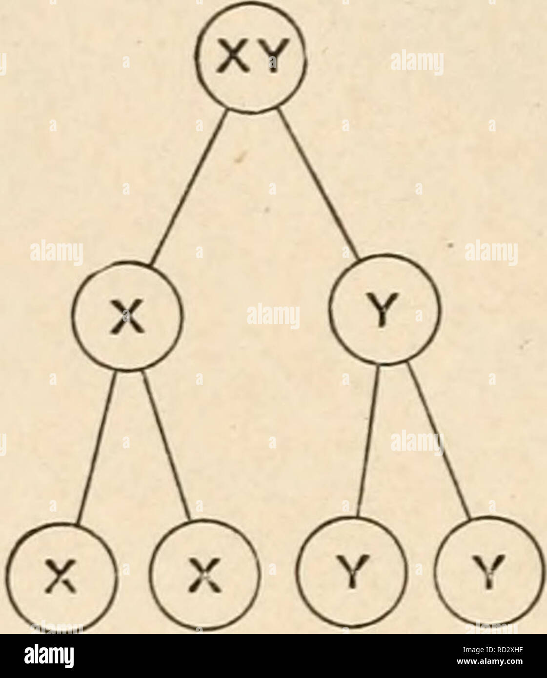 Equational hi-res stock photography and images - Alamy