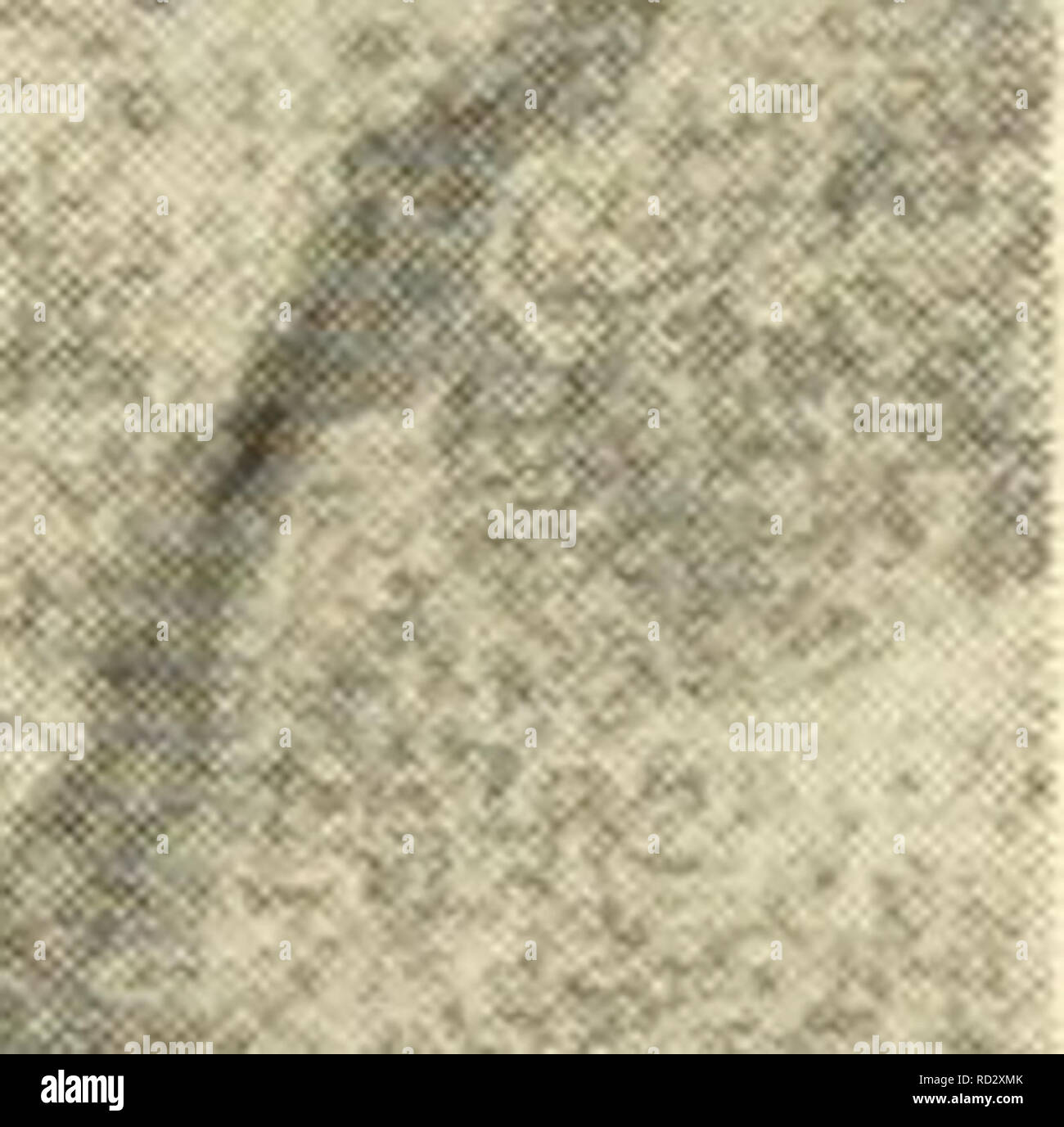 . Cytology. Cytology. . V V / Figure 5-5. Electron Micrograph Showing ...