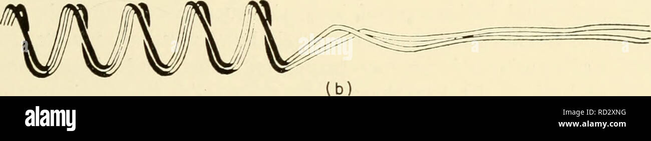 . Cytology. Cytology. Figure 5-4. Schematic Representation of ...