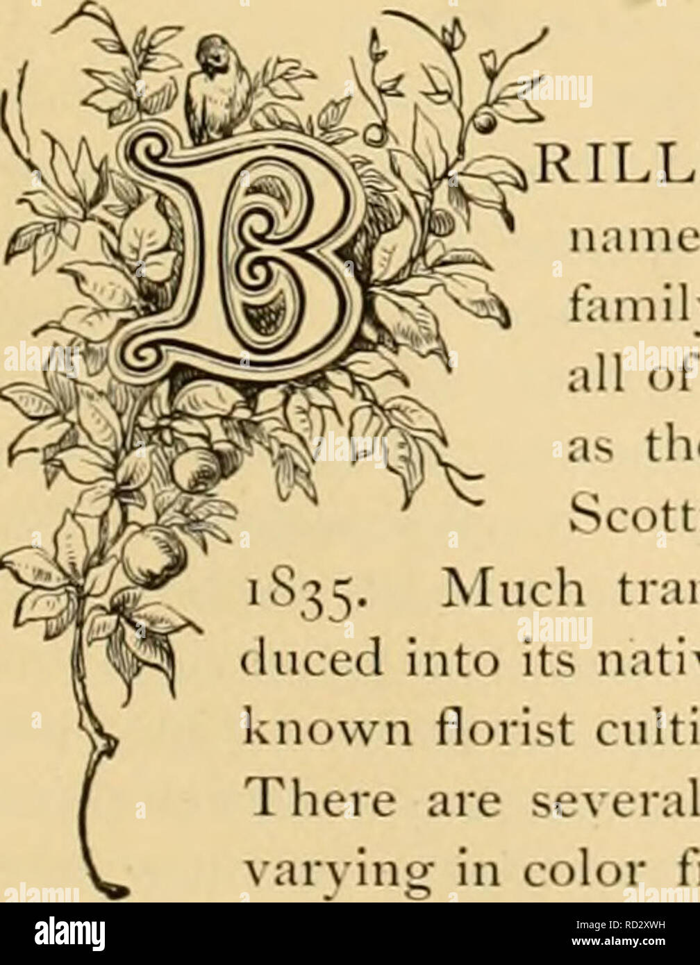 . Cyclopedia of practical floriculture. Floriculture; Flower language ...