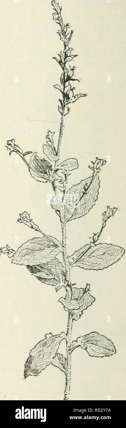 Afrri hi-res stock photography and images - Alamy