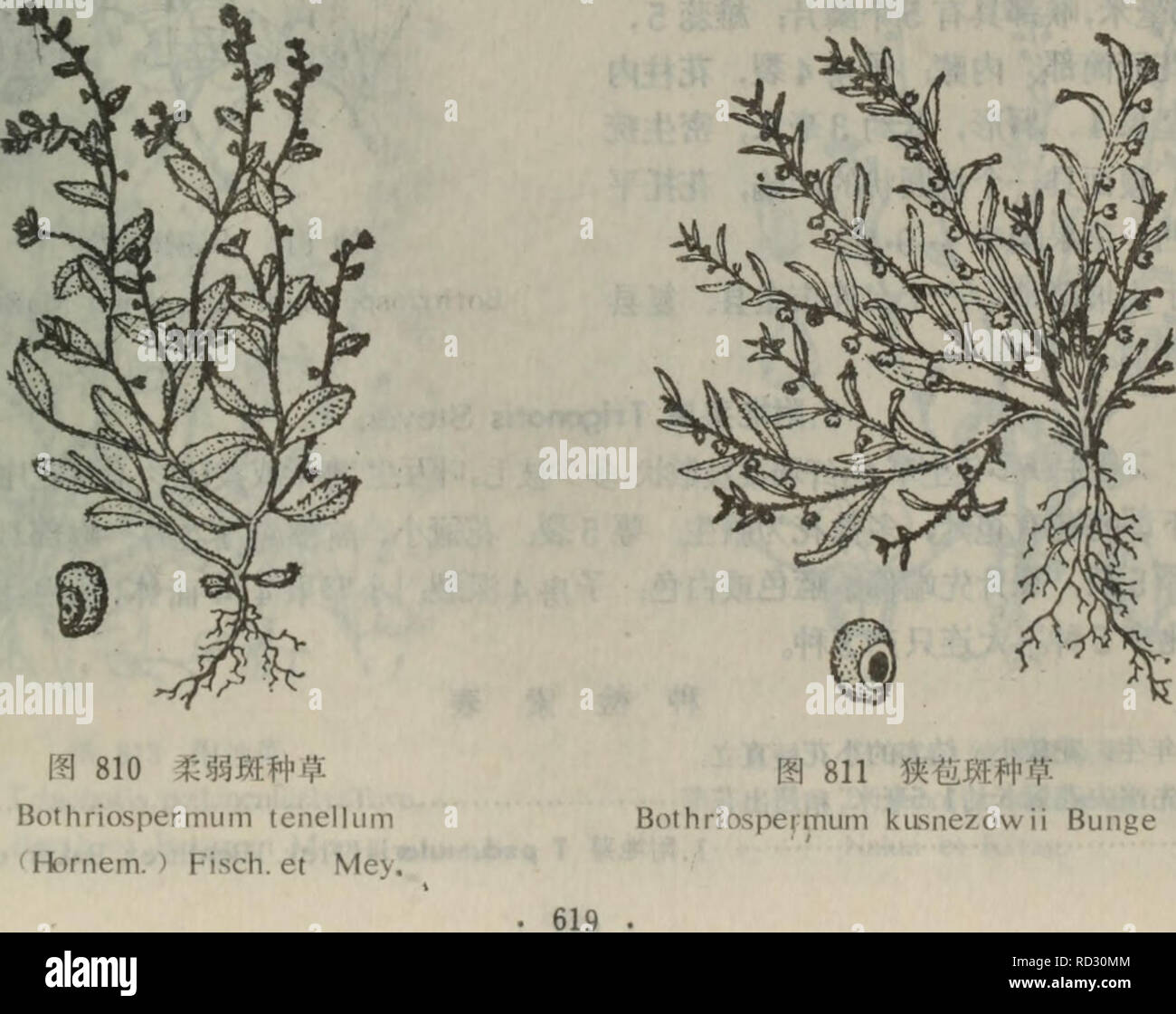 Hor hor aa hi-res stock photography and images - Alamy