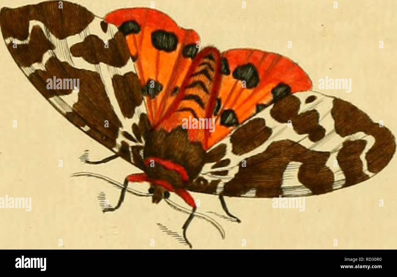 Zsic hi-res stock photography and images - Alamy