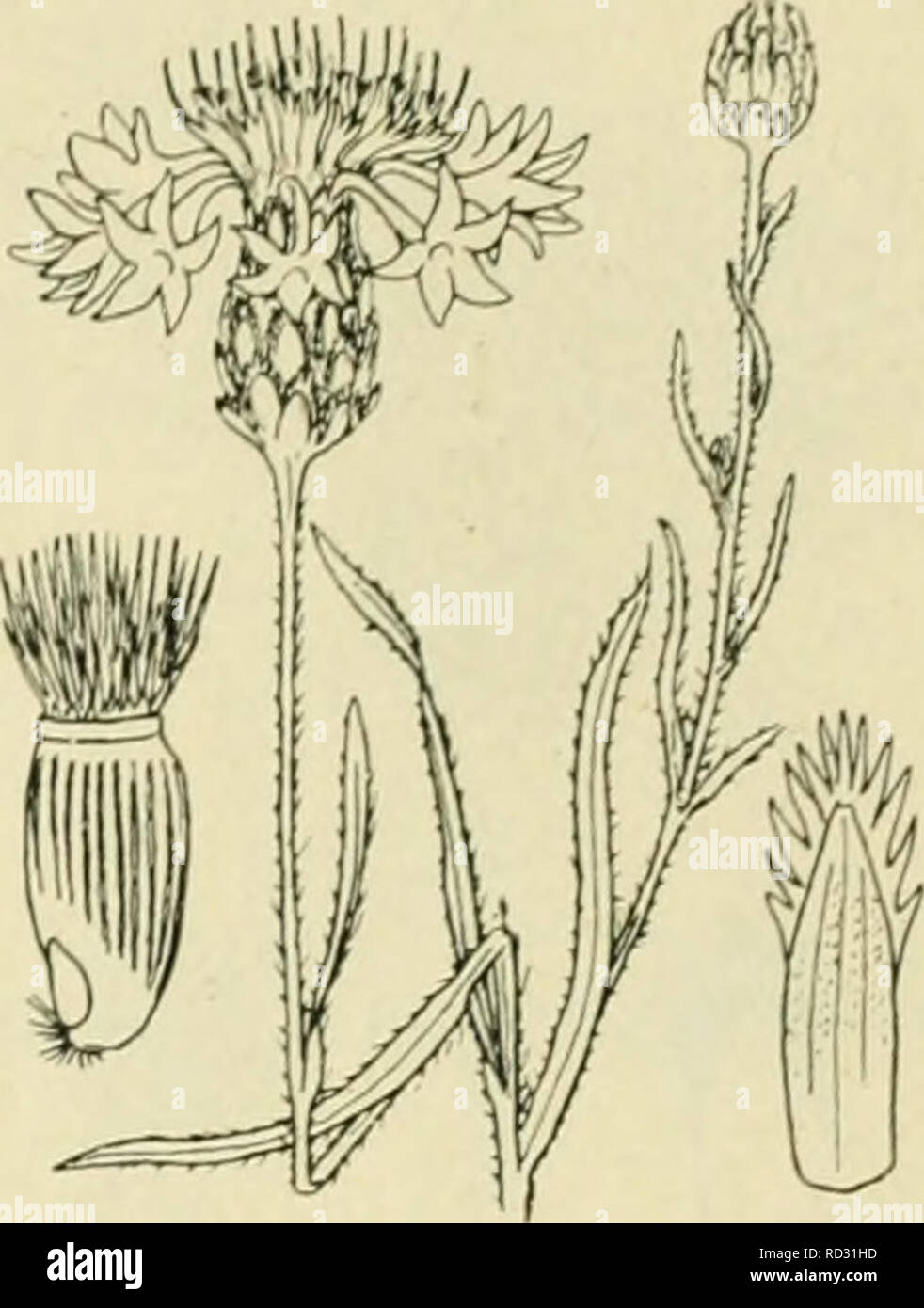 Schijf hi-res stock photography and images - Alamy