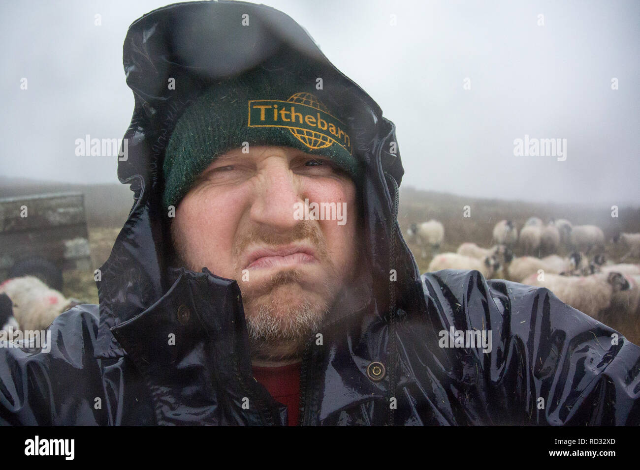 Miserable looking hi-res stock photography and images - Alamy