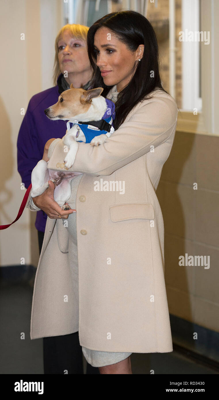 The Duchess of Sussex meets a Jack Russell called Minnie during a visit ...