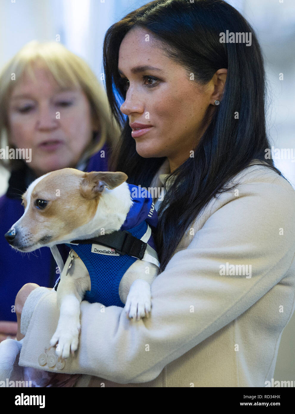 The Duchess of Sussex meets a Jack Russell called Minnie during a visit ...