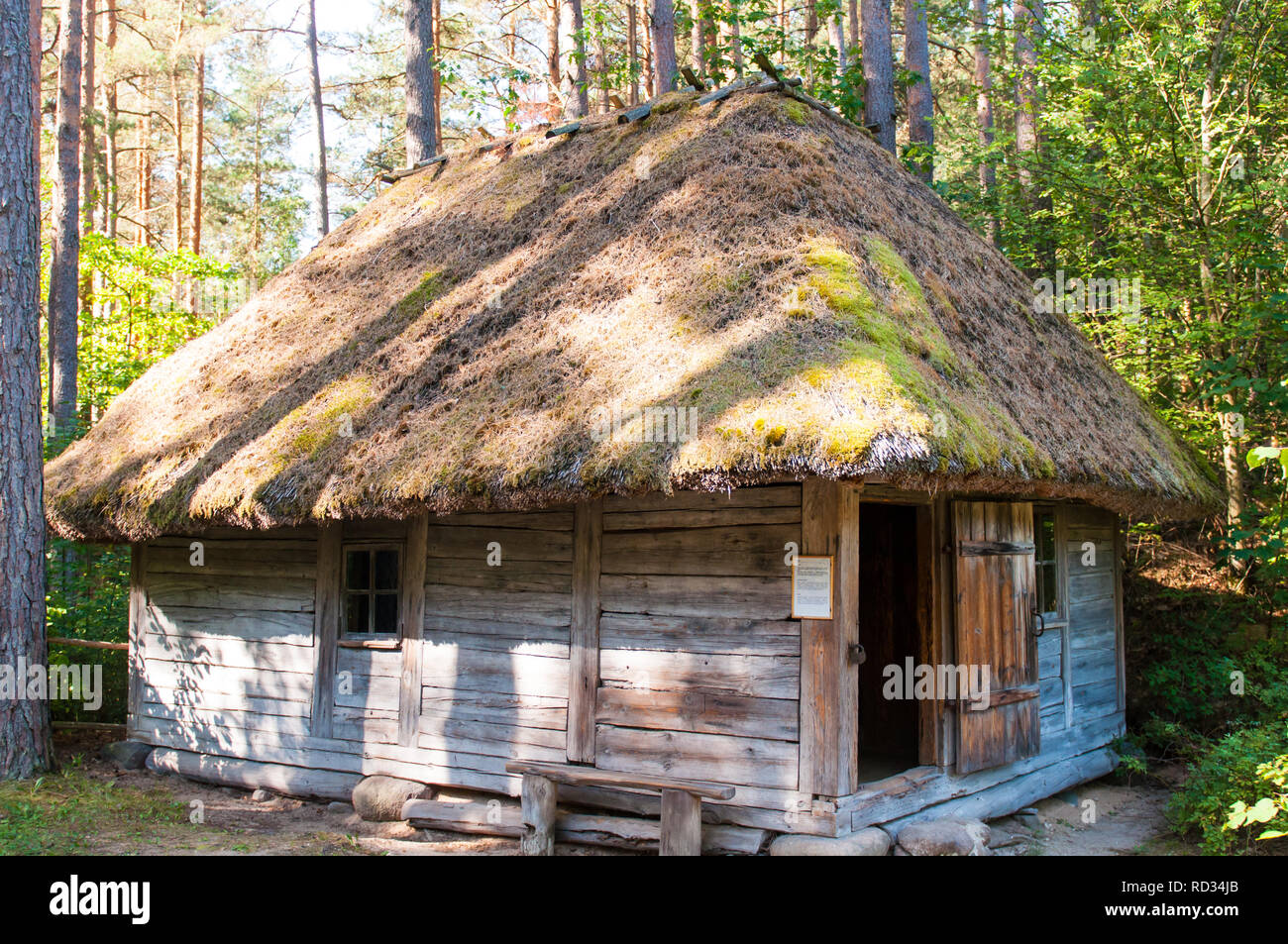 Ancient construction in the forest in summer Stock Photo - Alamy