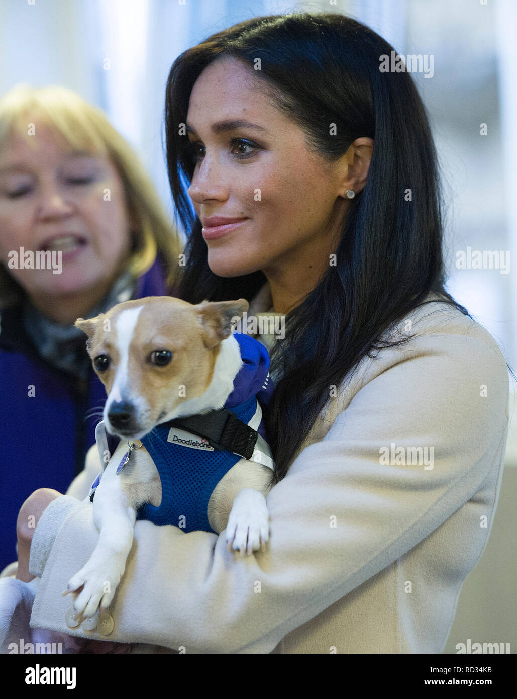 Meghan markle mayhew animal welfare hi-res stock photography and images ...