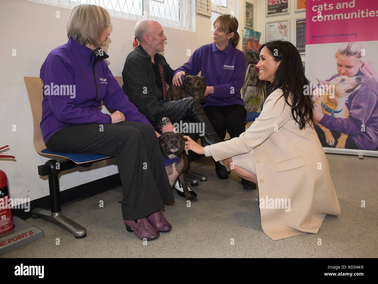 Wully hi-res stock photography and images - Alamy