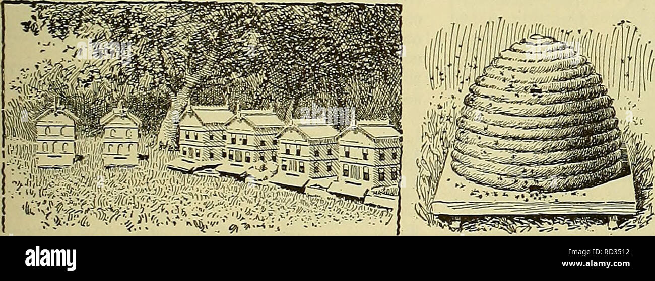 Beehive bees old fashioned hi-res stock photography and images - Alamy