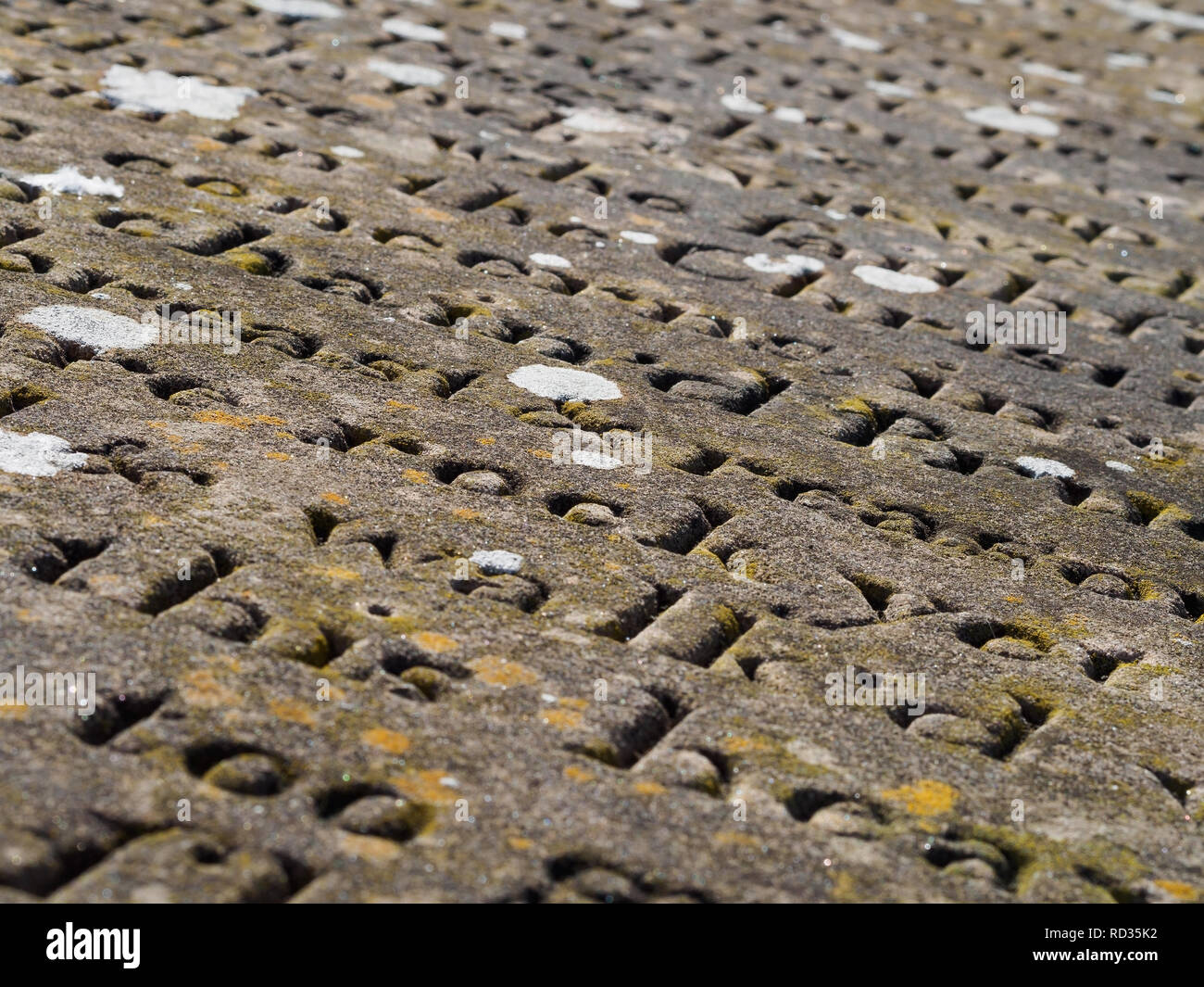 Scottish headstone hi-res stock photography and images - Alamy
