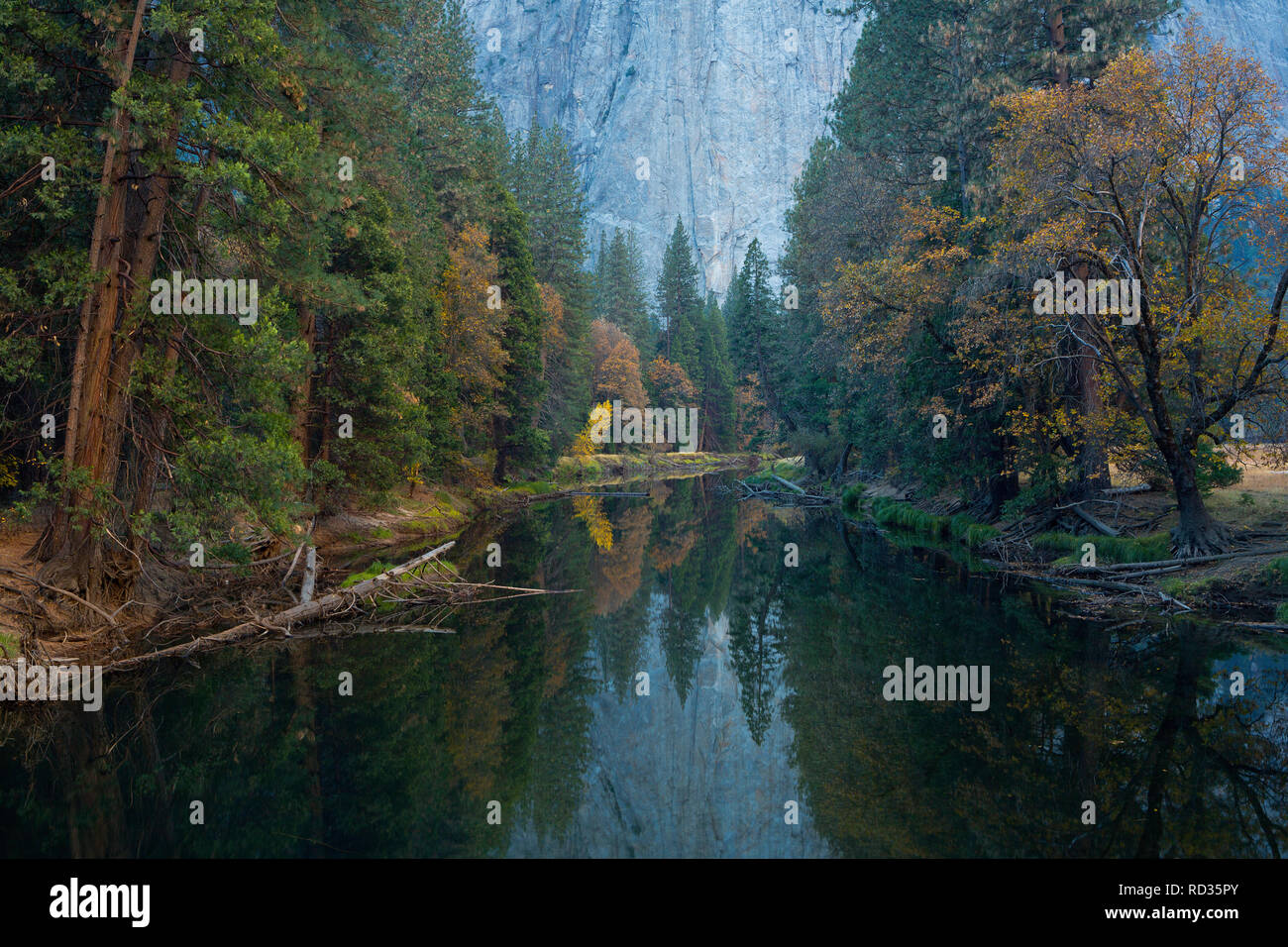 The Merced River flows through Yosemite Valley in the fall. California ...