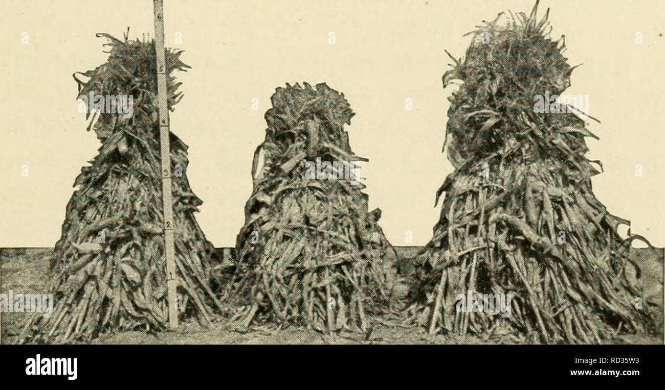 Bad crop rotation hi-res stock photography and images - Alamy