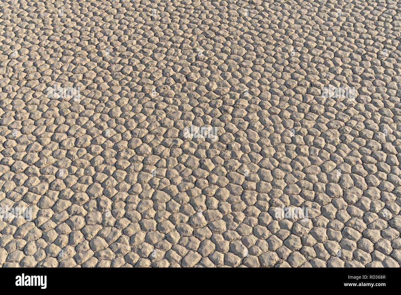 Dry lake bed formed polygon patterns, usually 6 sided, Racetrack Playa ...