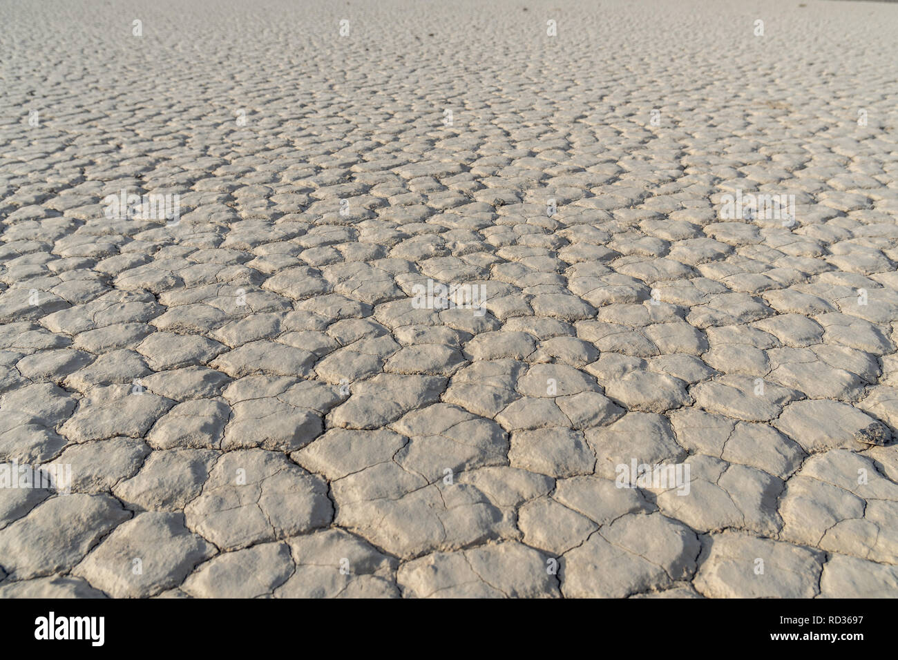 Dry lake bed formed polygon patterns, usually 6 sided, Racetrack Playa ...