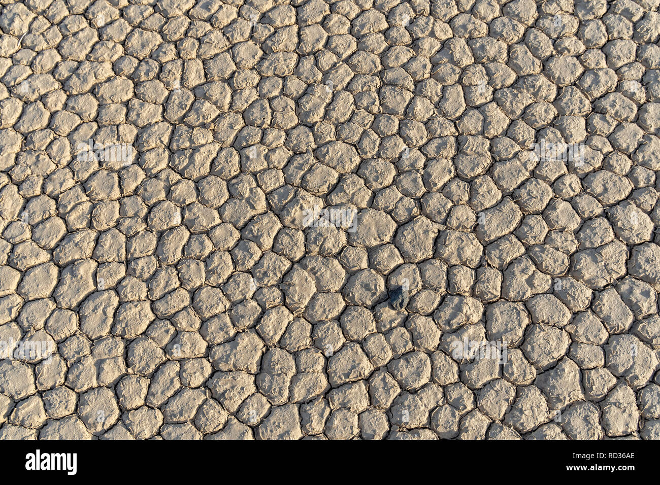 Dry lake bed formed polygon patterns, usually 6 sided, Racetrack Playa ...