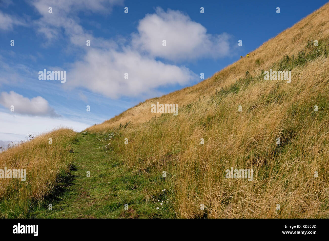 Scottish right of way hi-res stock photography and images - Alamy
