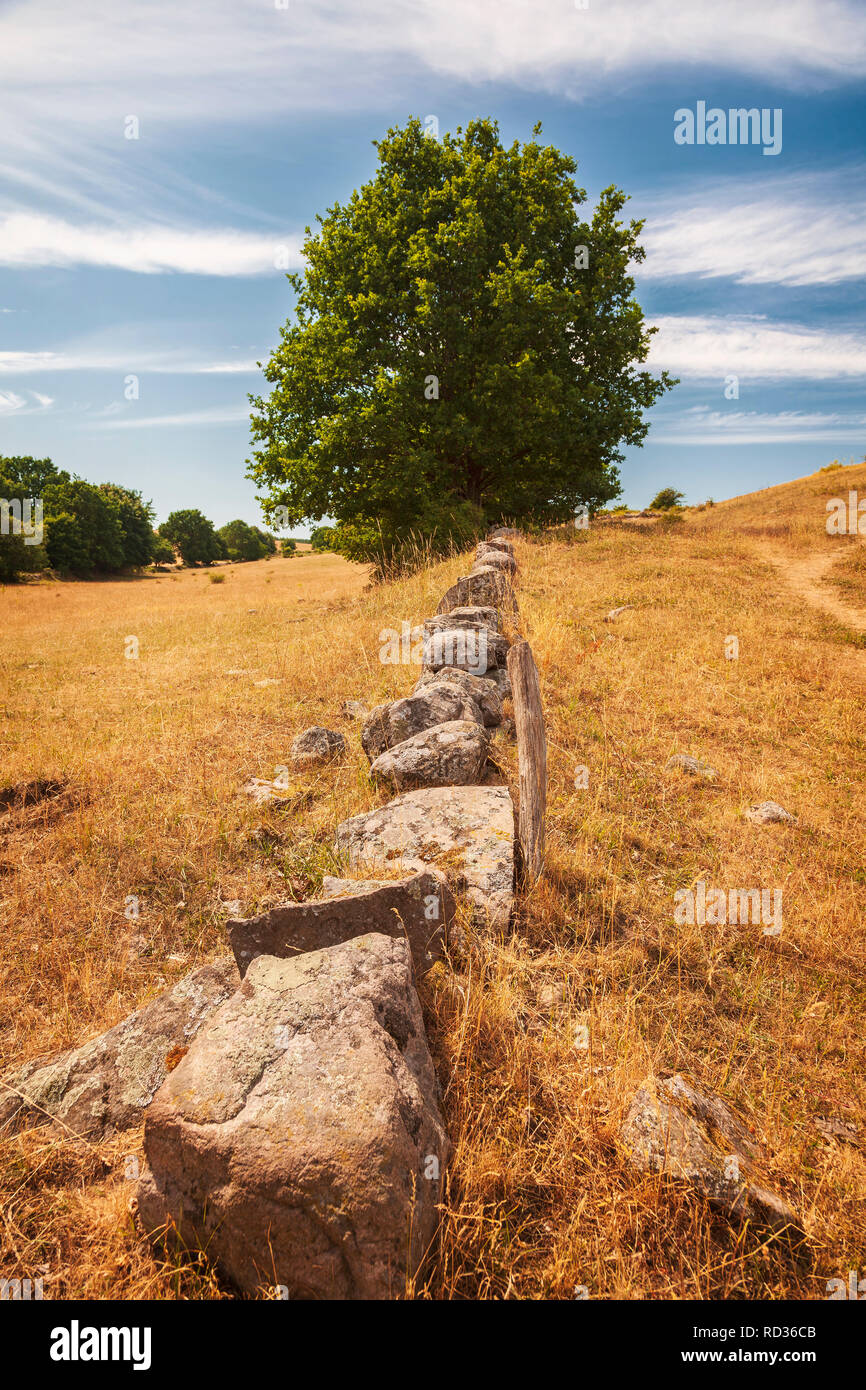 Old stone wall in hilly rural landscape. Brosarp, south Sweden Stock ...