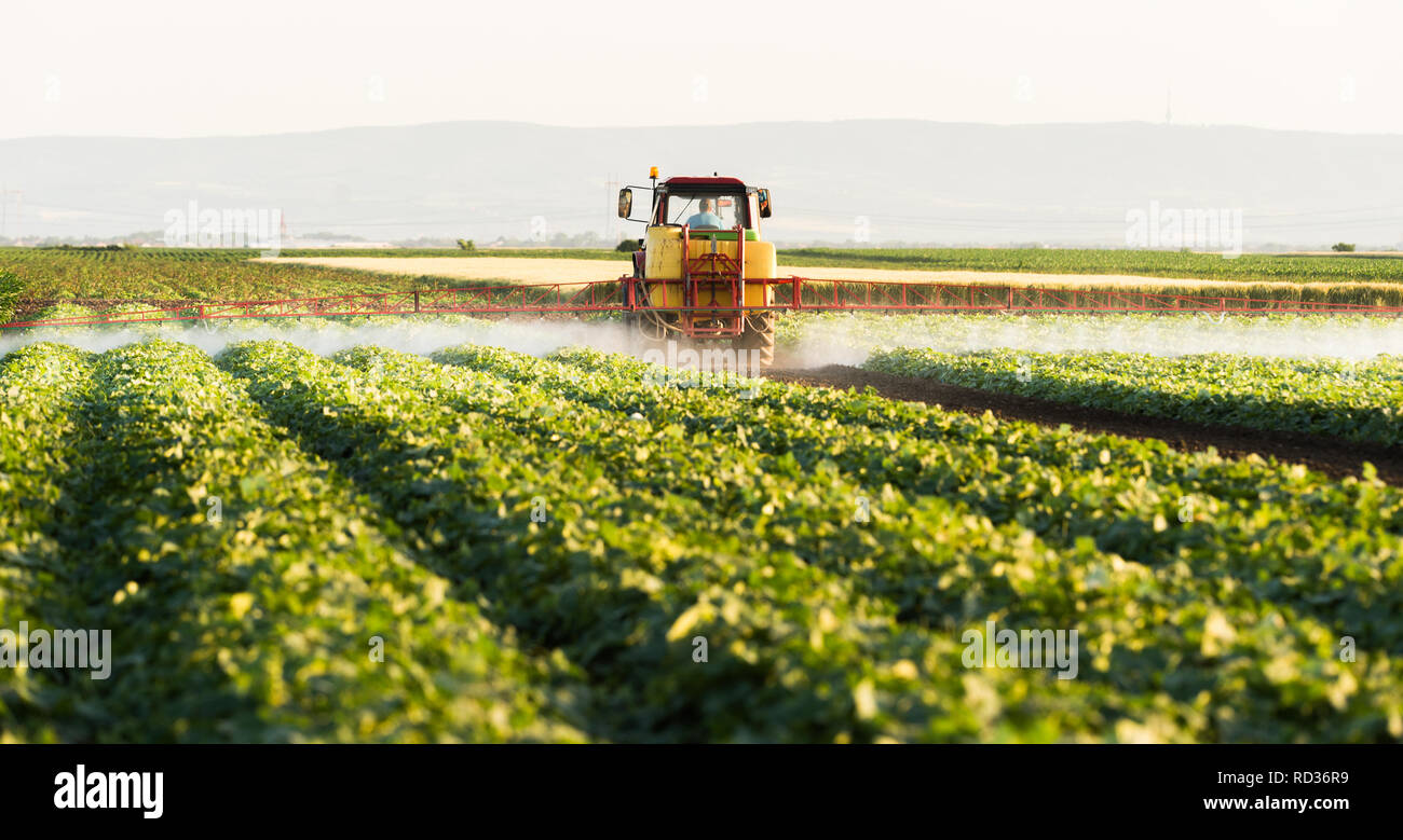 Farmer on a tractor with a sprayer makes fertilizer for young ...