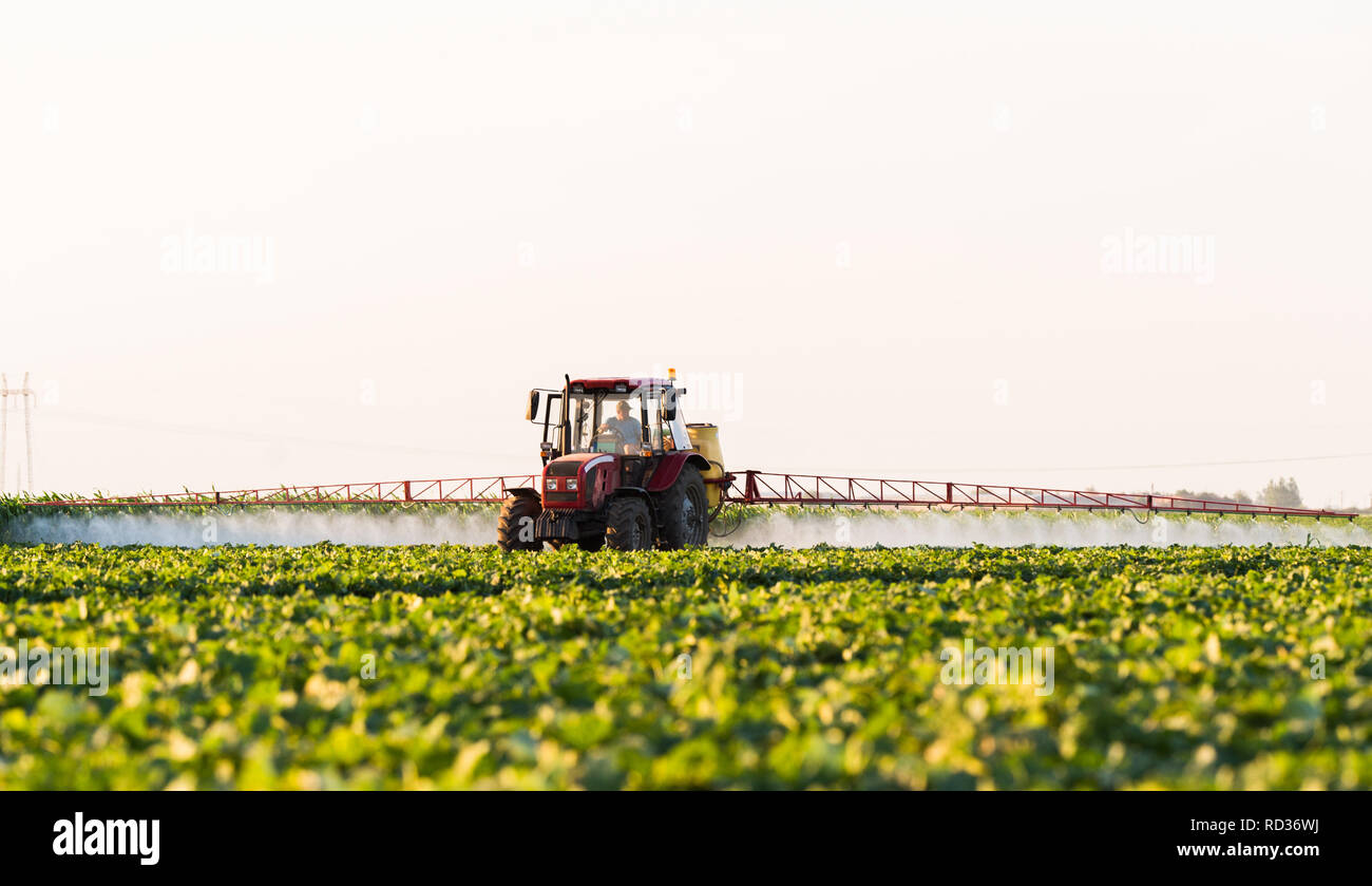 Farmer on a tractor with a sprayer makes fertilizer for young ...