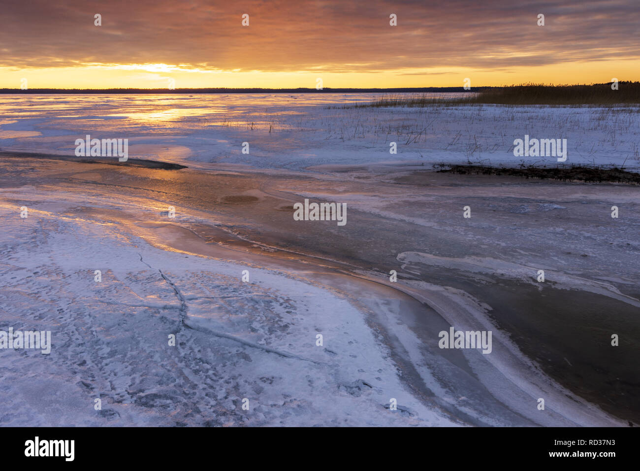 Estonian island hi-res stock photography and images - Alamy